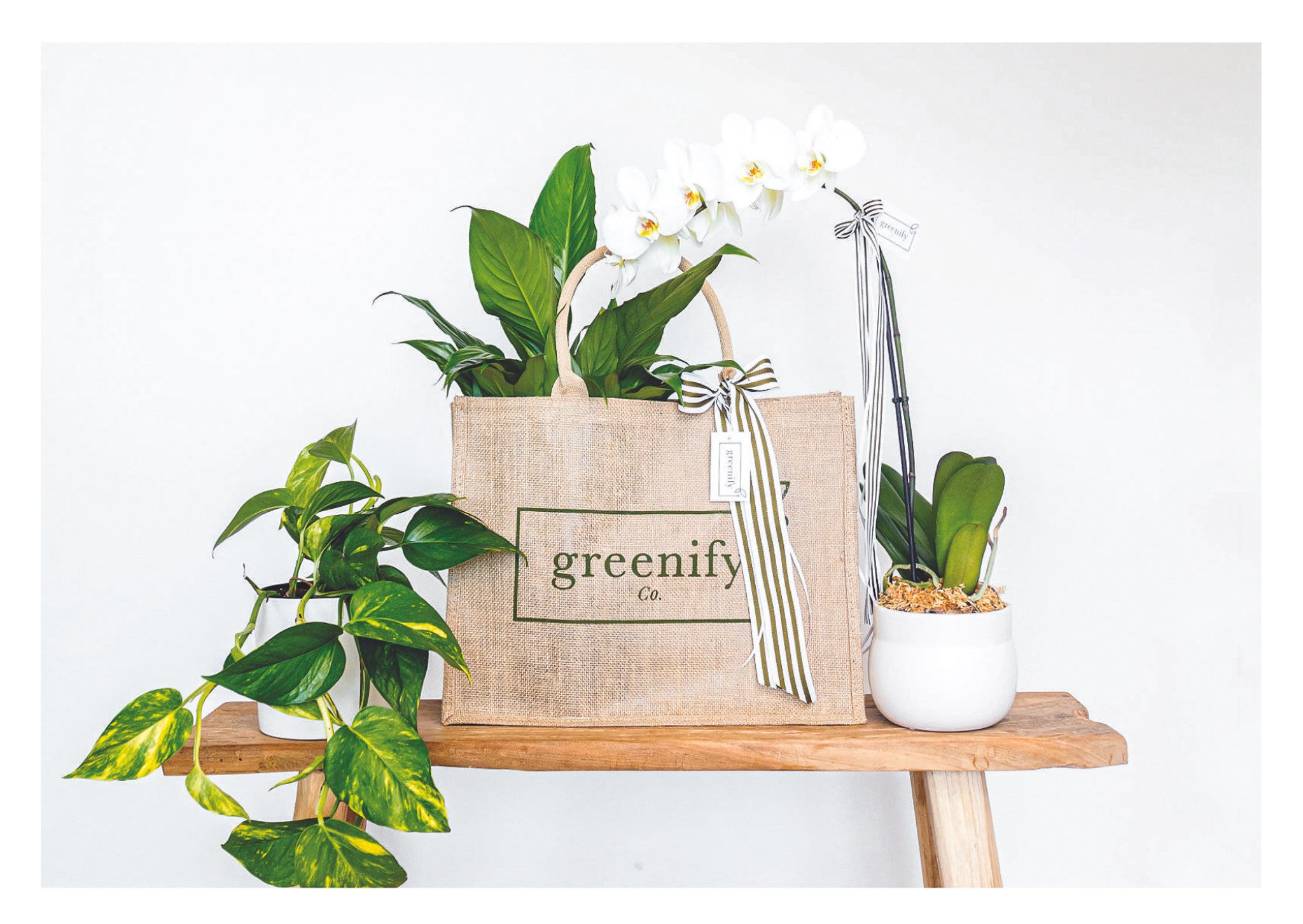 Same Day Plant and Gift Delivery Perth Suburbs | Greenify Co.