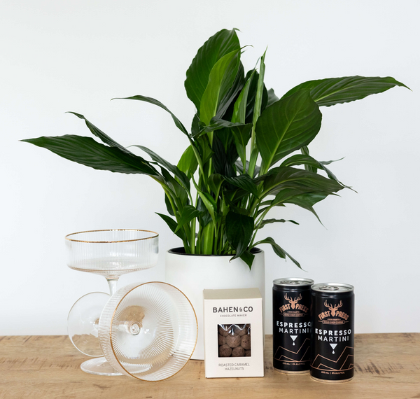 Corporate Gifting | Settlement & Handover Gifts | Client Appreciation ...